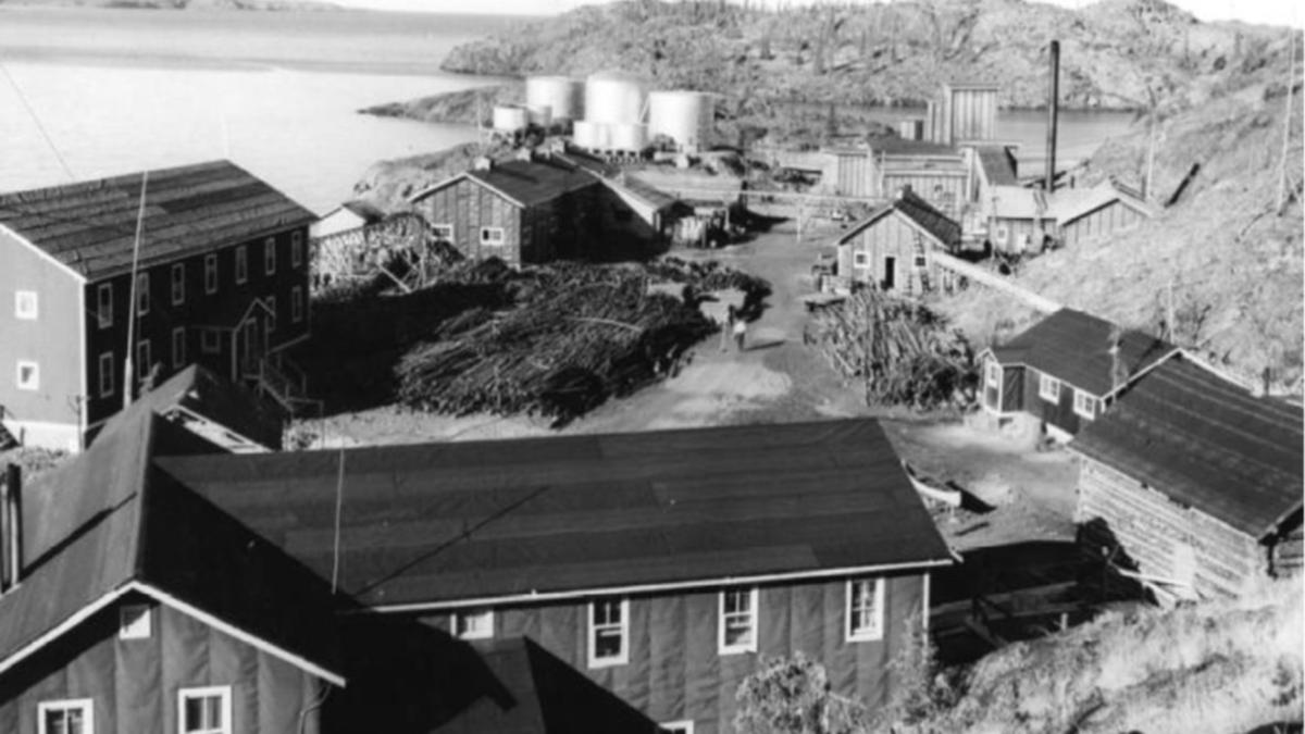 Radium Point Uranium Project - White Cliff Minerals Ltd